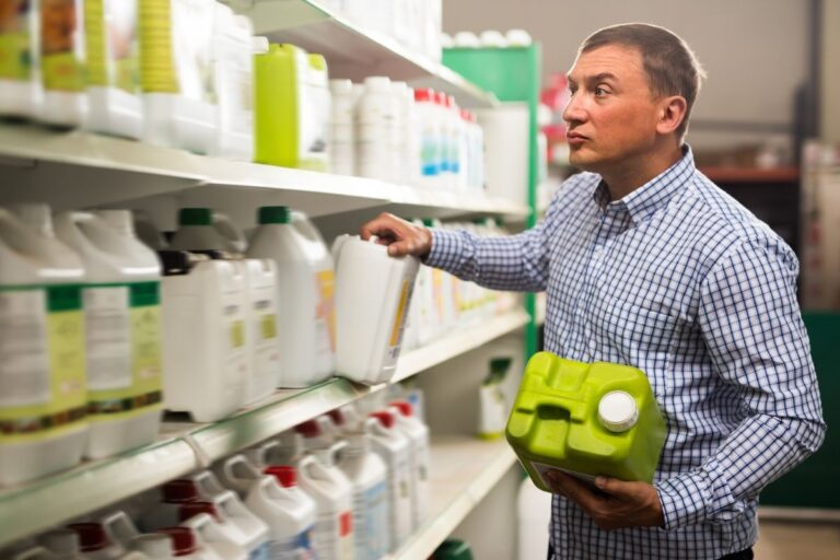 Why Is My Daisy Turning Yellow? (Possible Problems+Solution)