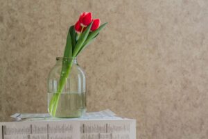 How To Care For Tulips Indoors? (10 Care Tips)