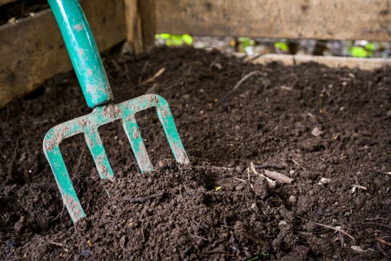 7 Best DIY Raised Bed Soil Mix: A Step-by-step Guide