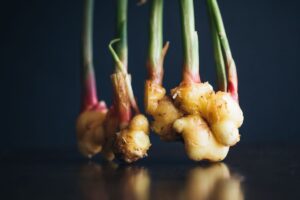 How To Care For Ginger Plant? (Ultimate Care Guide)