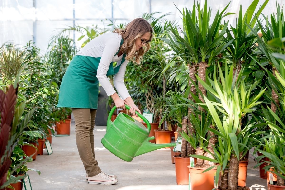 8 Reasons You Should Buy Plants From A Local Nursery