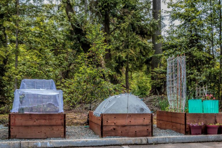12 Ways To Keep Animals Out Of Raised Garden Beds? (Pet+Wild Animals)
