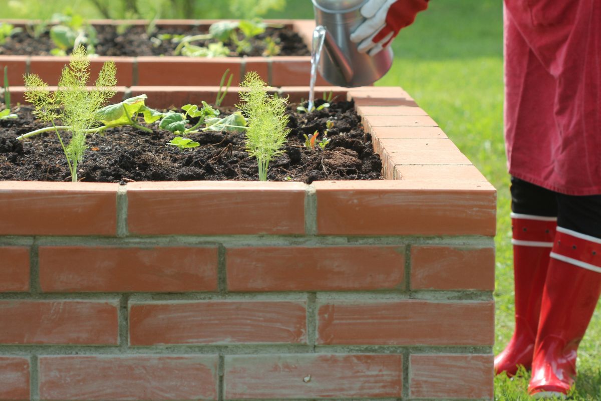 How To Water A Raised Garden Bed? (+8 Mistakes To Avoid)