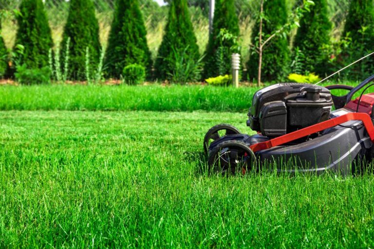 10 Reasons Your Lawn Mower Is Not Cutting Well (+Quick Fix)