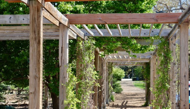 Pumpkin Plant Support/Trellis Ideas: Boost Your Harvest With These ...