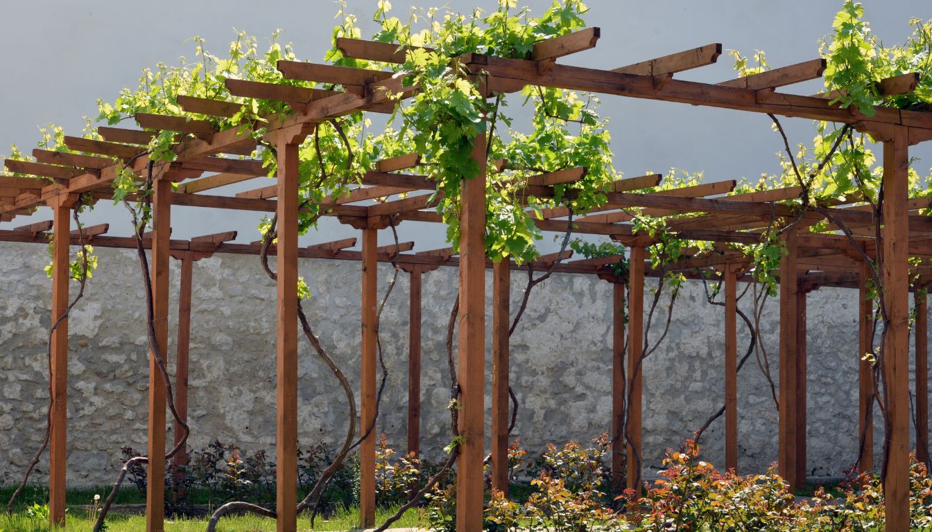 Pumpkin Plant Support/Trellis Ideas: Boost Your Harvest With These ...