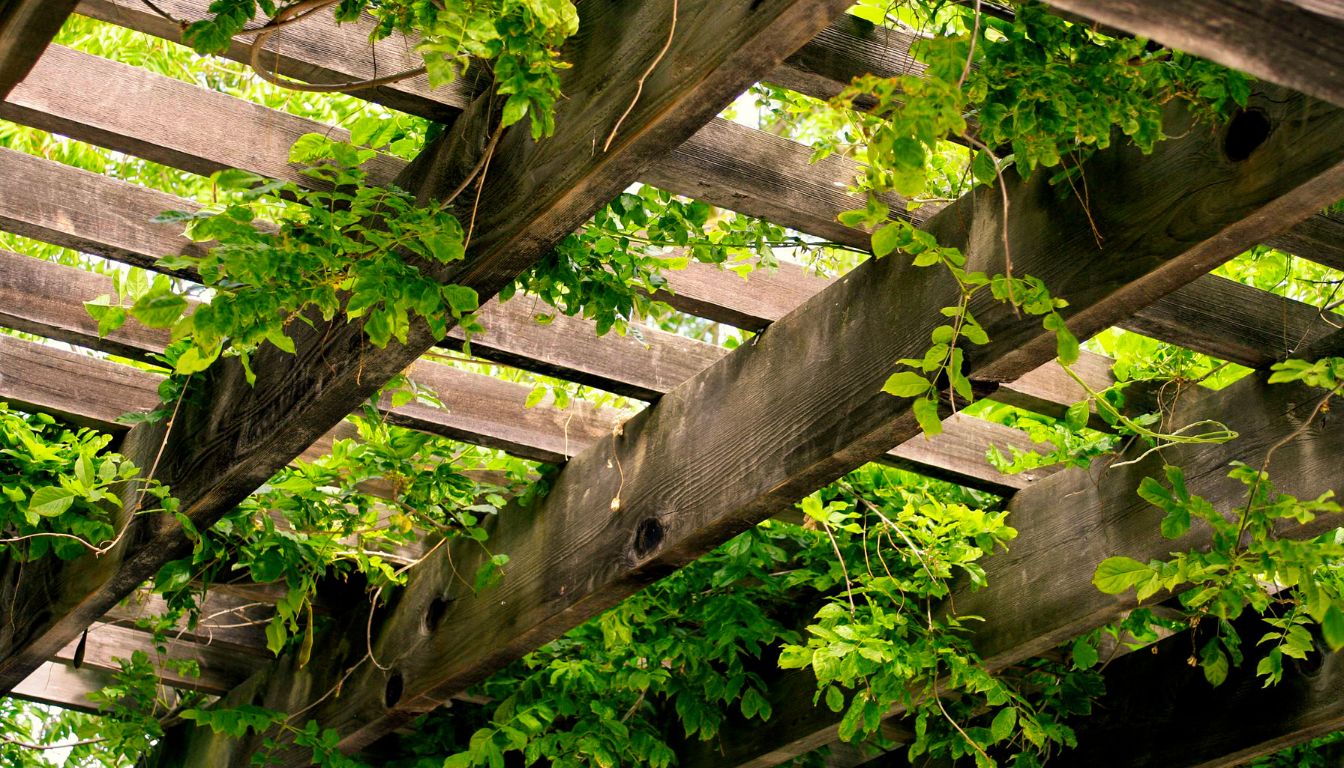 Pumpkin Plant Support/Trellis Ideas: Boost Your Harvest With These ...